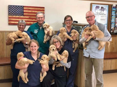 Best Vet Clinic In Flint, TX | Flint Veterinary Clinic